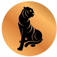 Game Palacio | Discover Nightlife Around You