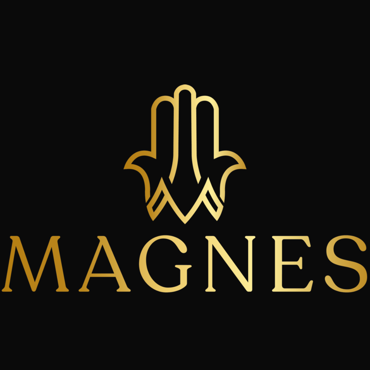 MAGNES THE NIGHT CLUB | Discover Nightlife Around You